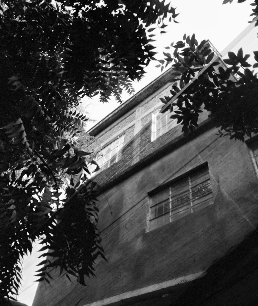 Past Exhibits - BRONX DOCUMENTARY CENTER